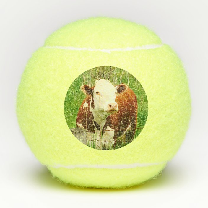 Cow Chicken Farm Animals 4Robin Tennis Balls | Zazzle.com