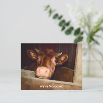 Cow Country Rustic Barn Funny Farm Moving Card | Zazzle