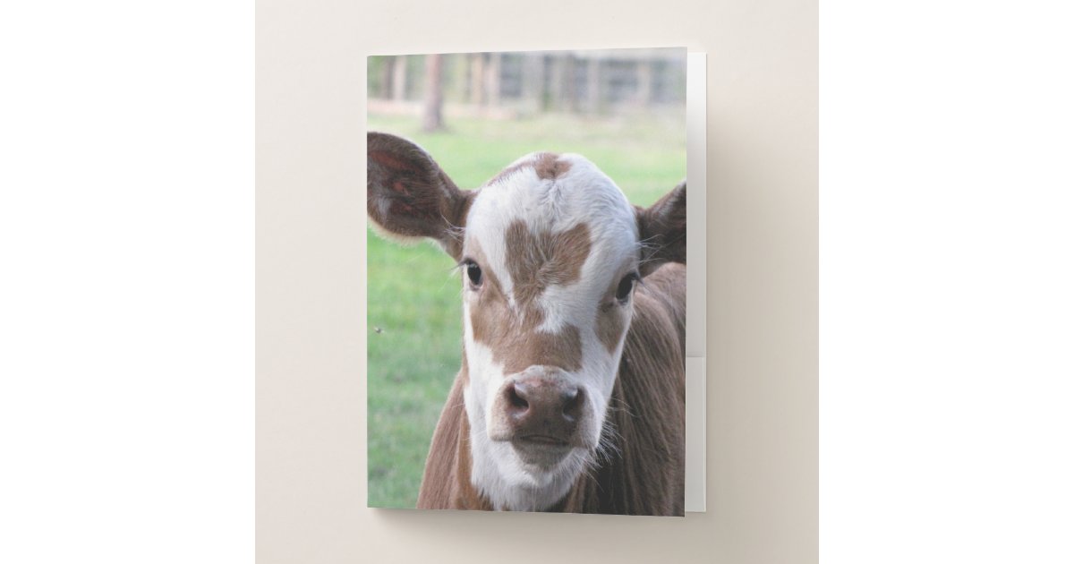 Cow - Farm Series Pocket Folders | Zazzle