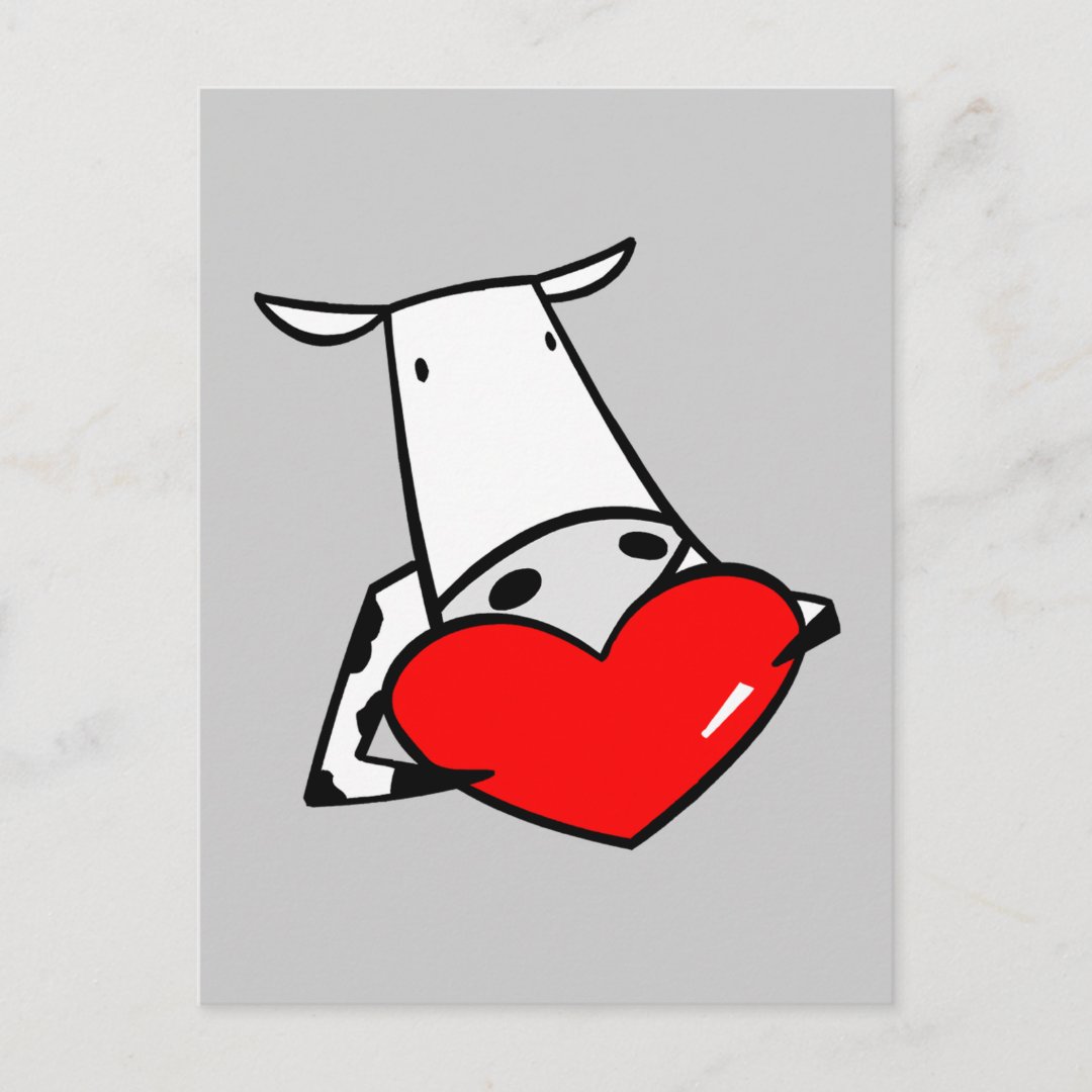 Cow Heart Valentine I Love Cows Holiday Postcard | Zazzle