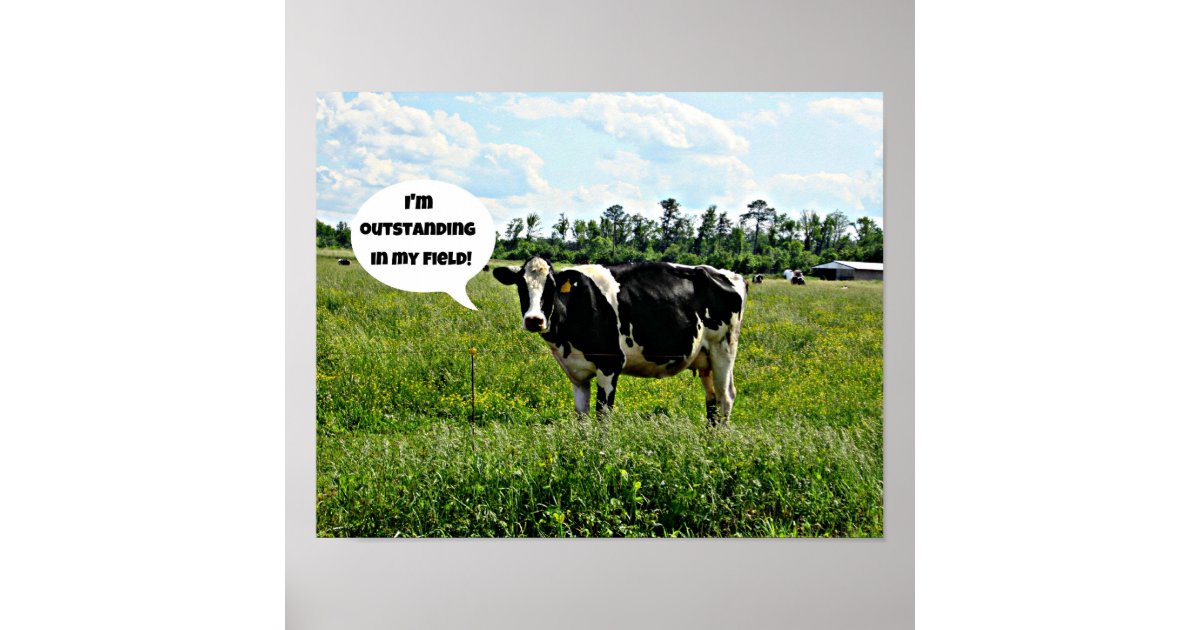 Cow Humor Poster | Zazzle