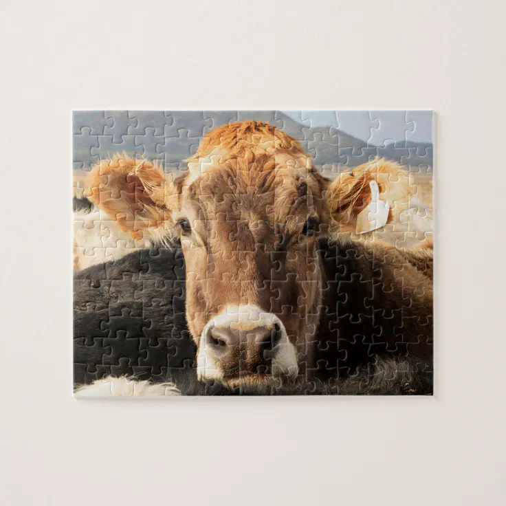 Cow Jigsaw Puzzle | Zazzle