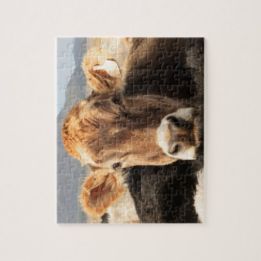 Cow Jigsaw Puzzle | Zazzle