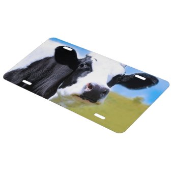 Cow License Plate | Zazzle