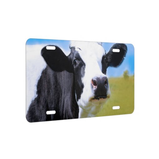 Cow License Plate | Zazzle