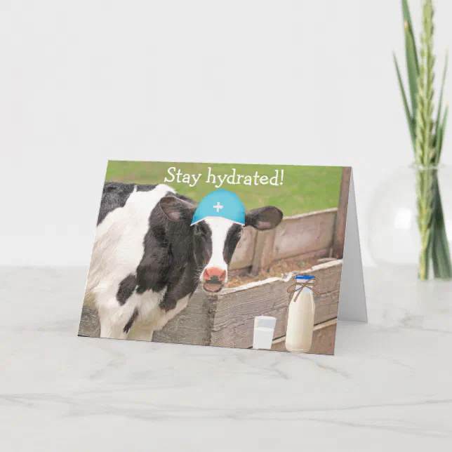 Cow Medical Advice Get Well Card | Zazzle