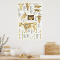 Cow Ox Bovine Skeletal Anatomy Poster | Zazzle