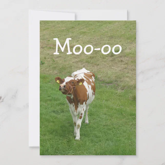 Cow Party Invitations | Zazzle