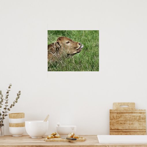 COW POSTER | Zazzle