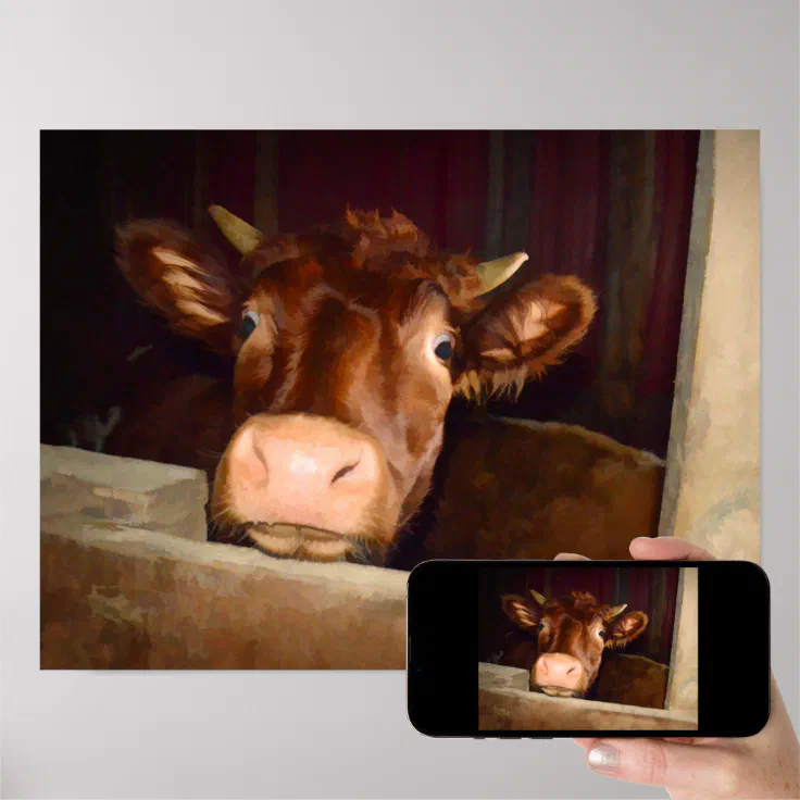 Cow Rustic Brown Country Barn Funny Farm Poster | Zazzle