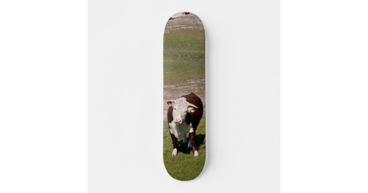 Cow skateboard | Zazzle