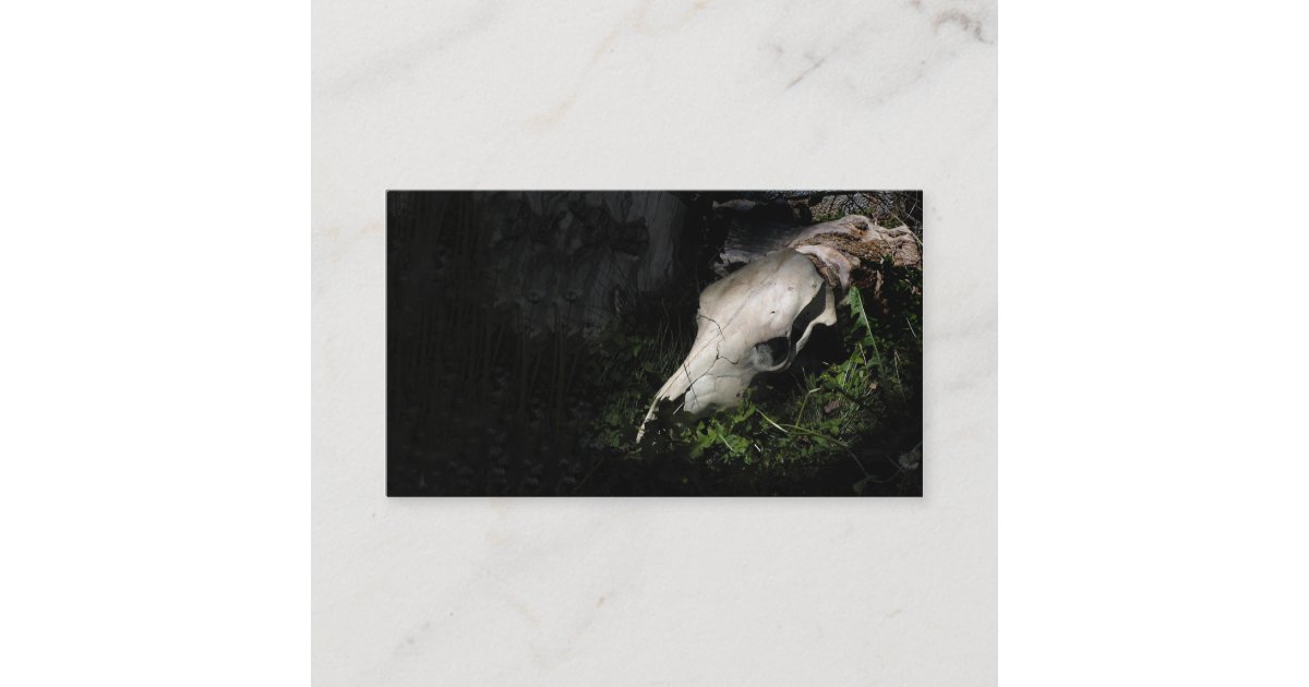 Cow skull profile or business card | Zazzle