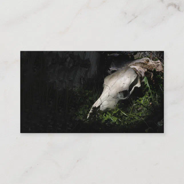 Cow skull profile or business card | Zazzle