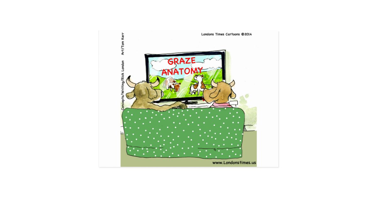 Cow TV Shows Funny Cartoon Postcard | Zazzle.com