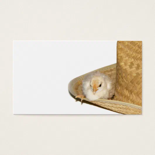 Cowboy baby chick profile card | Zazzle