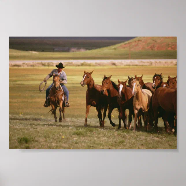 Cowboy Herding at the Ranch Poster | Zazzle