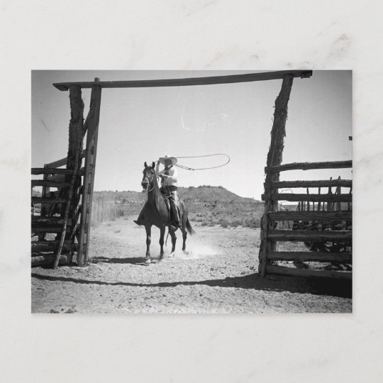 Cowboy roping postcard | Zazzle.com