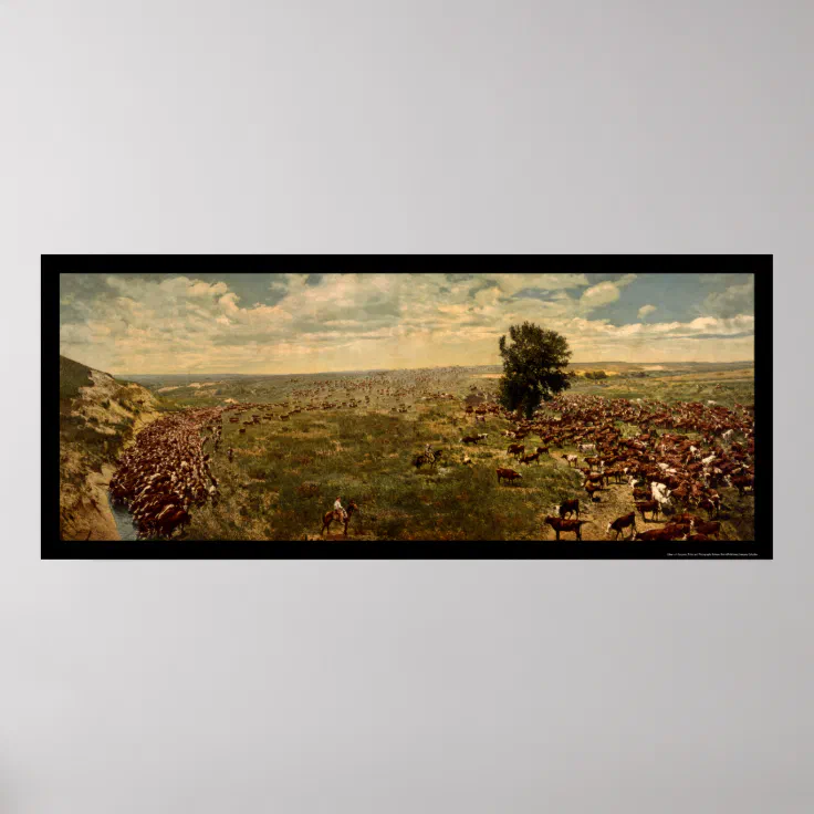 Cowboys Rounding Up Cattle 1912 Poster | Zazzle