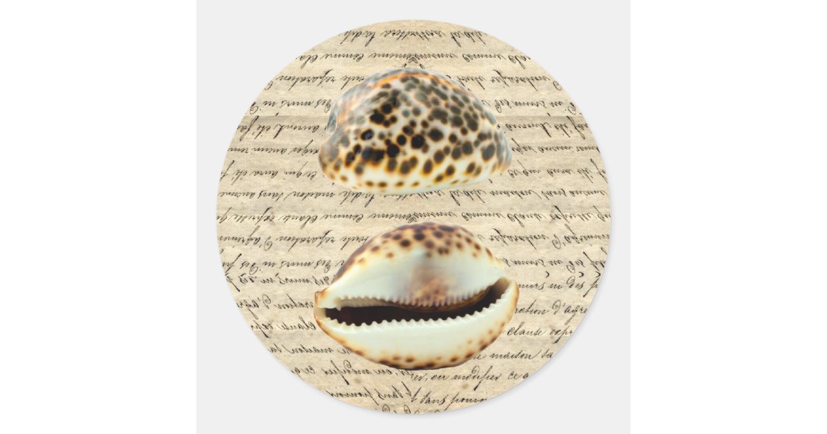 Cowrie shells classic round sticker | Zazzle
