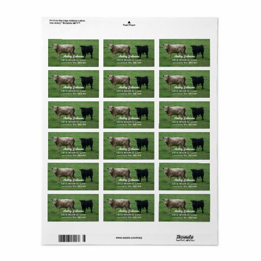 Cows Address Labels | Zazzle