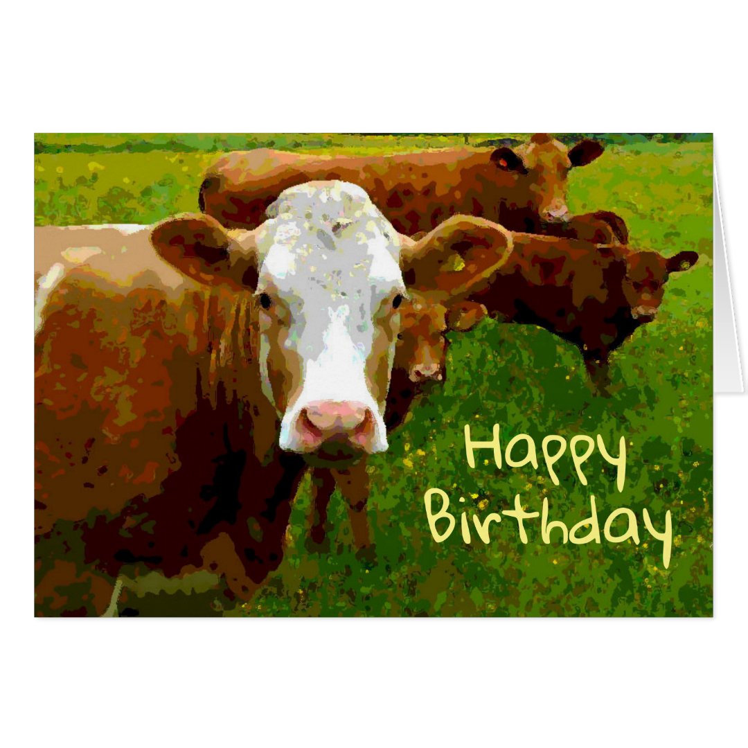Cows Birthday card | Zazzle