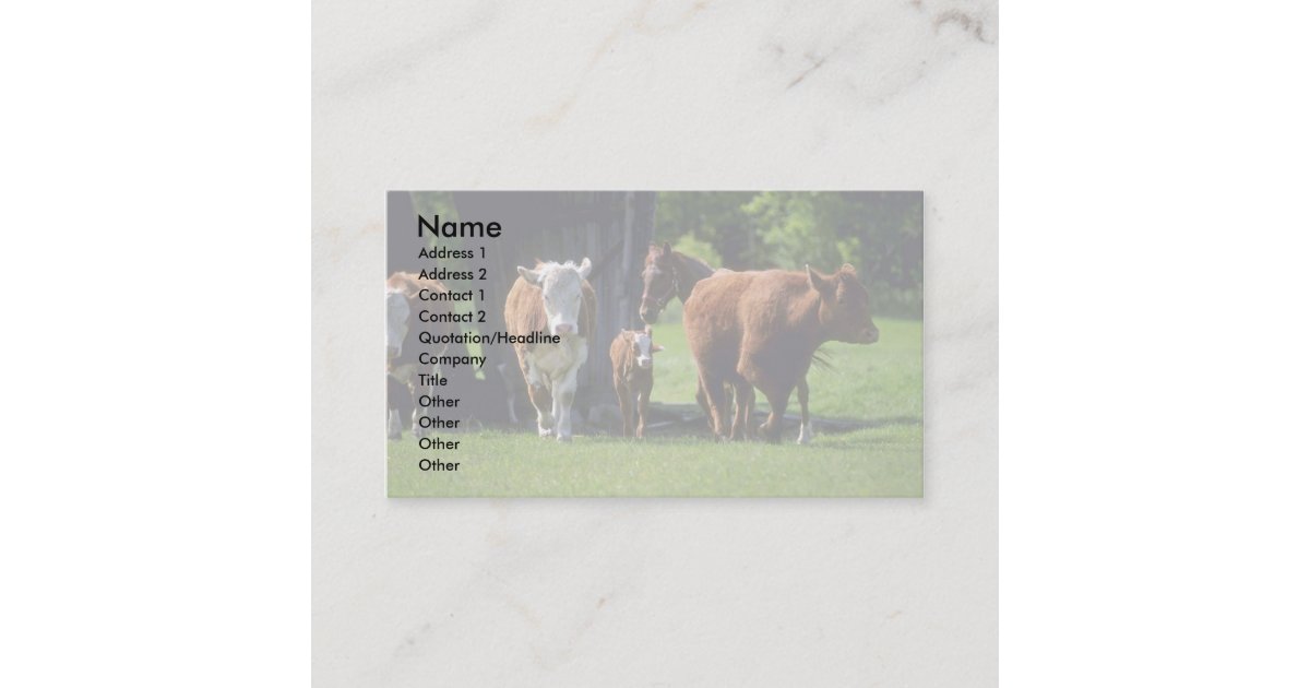 Cows Business Card | Zazzle
