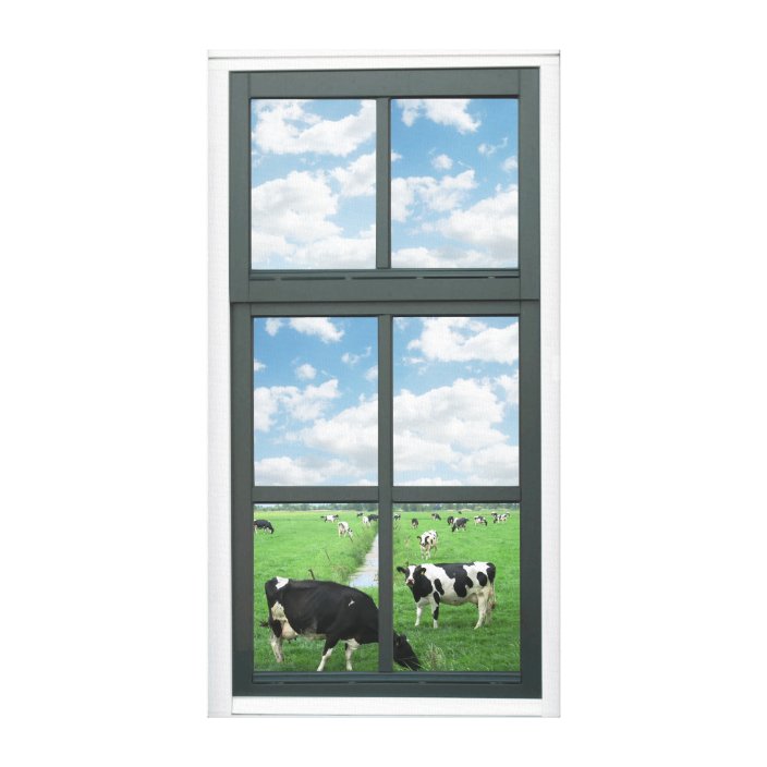 Cows Faux Window View Canvas Print | Zazzle.com