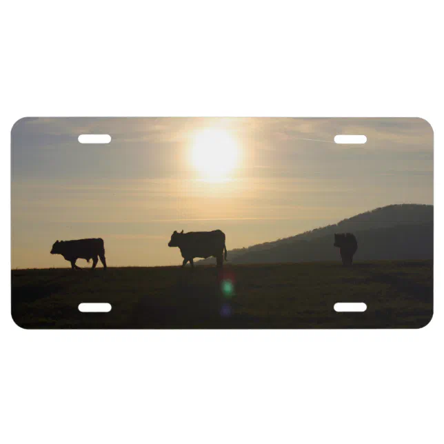 Cows License Plate | Zazzle
