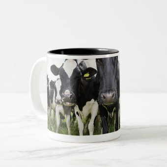 Cows standing in a row looking at camera Two-Tone coffee mug | Zazzle