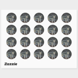 Coyote Hunting Classic Round Sticker | Zazzle