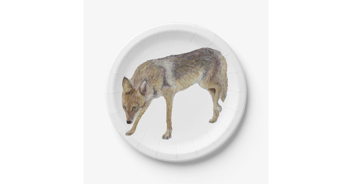 Coyote Paper Plates | Zazzle