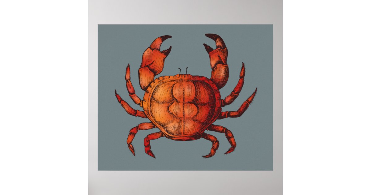 Crab Poster | Zazzle