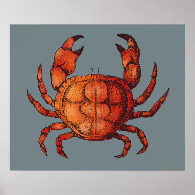 Crab Poster | Zazzle