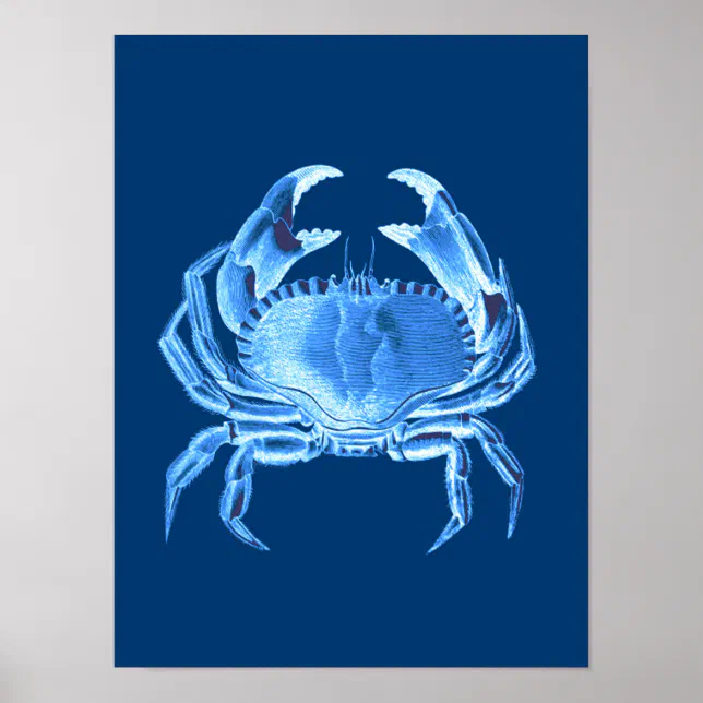 Crab Sea Life Print, Indigo Blue and White Poster | Zazzle