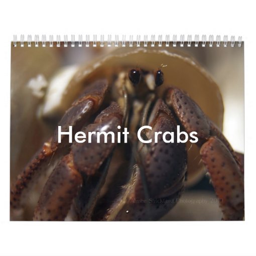crabby, Hermit Crabs Calendar | Zazzle
