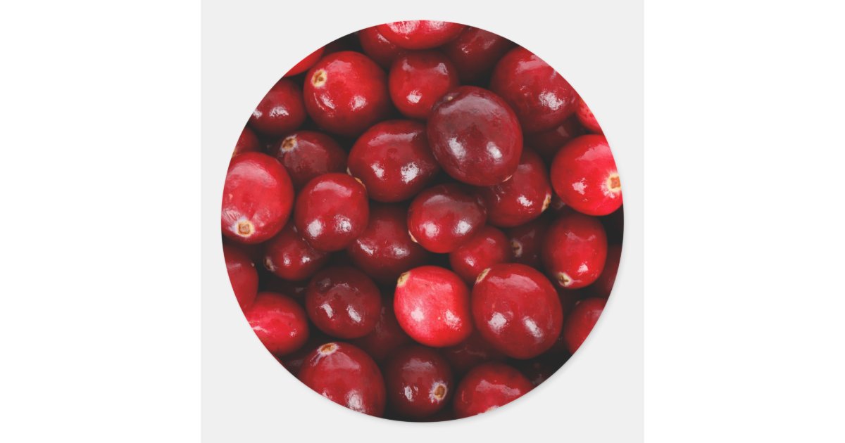 Cranberries Classic Round Sticker | Zazzle