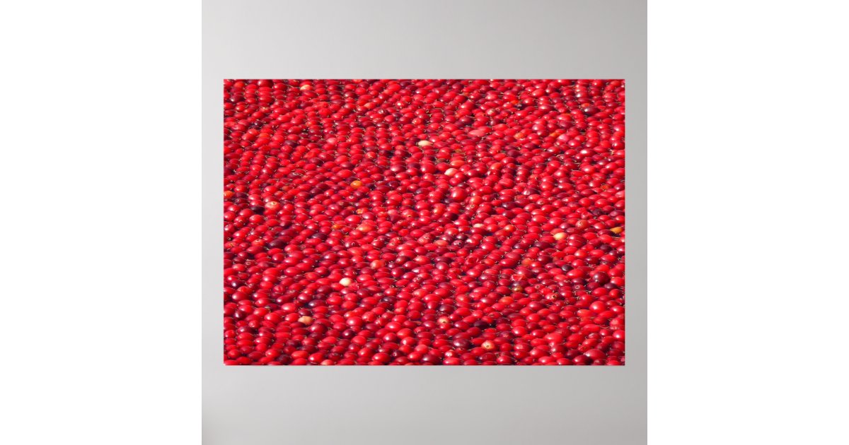 Cranberries Festive Red Poster | Zazzle