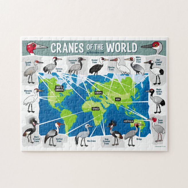 Extreme Facts About Cranes: Oldest, Highest, Furthest