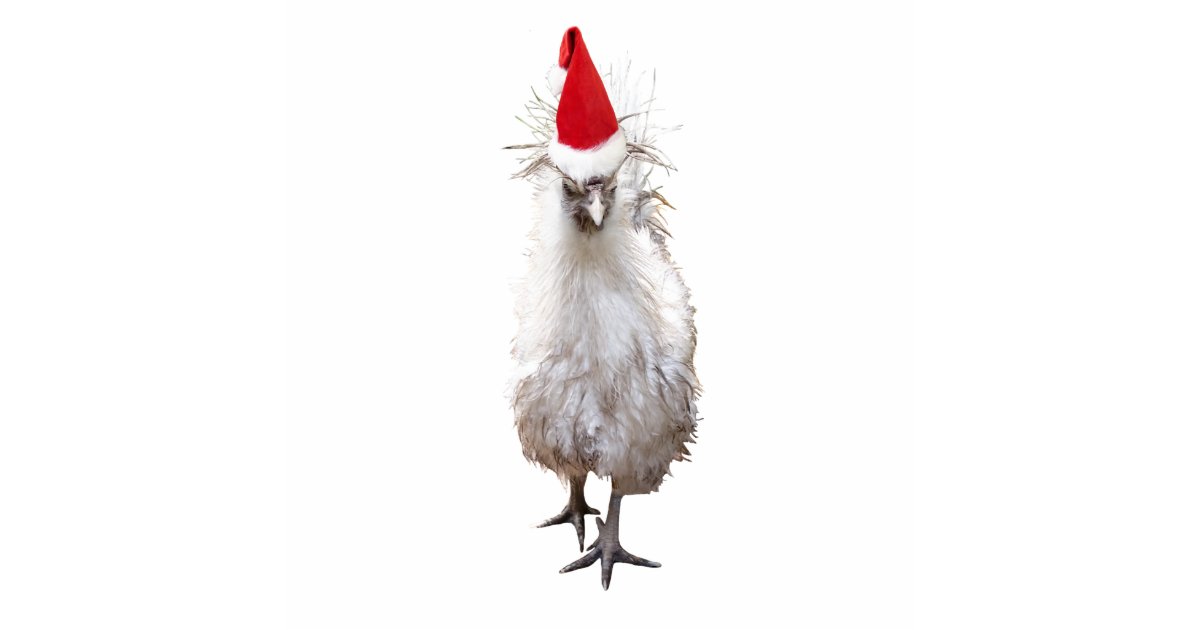 Cranky Silkie Bantam Chicken Santa Hat Christmas Cutout | Zazzle