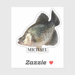 Crappie Fish Sticker | Zazzle