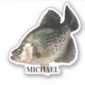 Crappie Fish Sticker | Zazzle