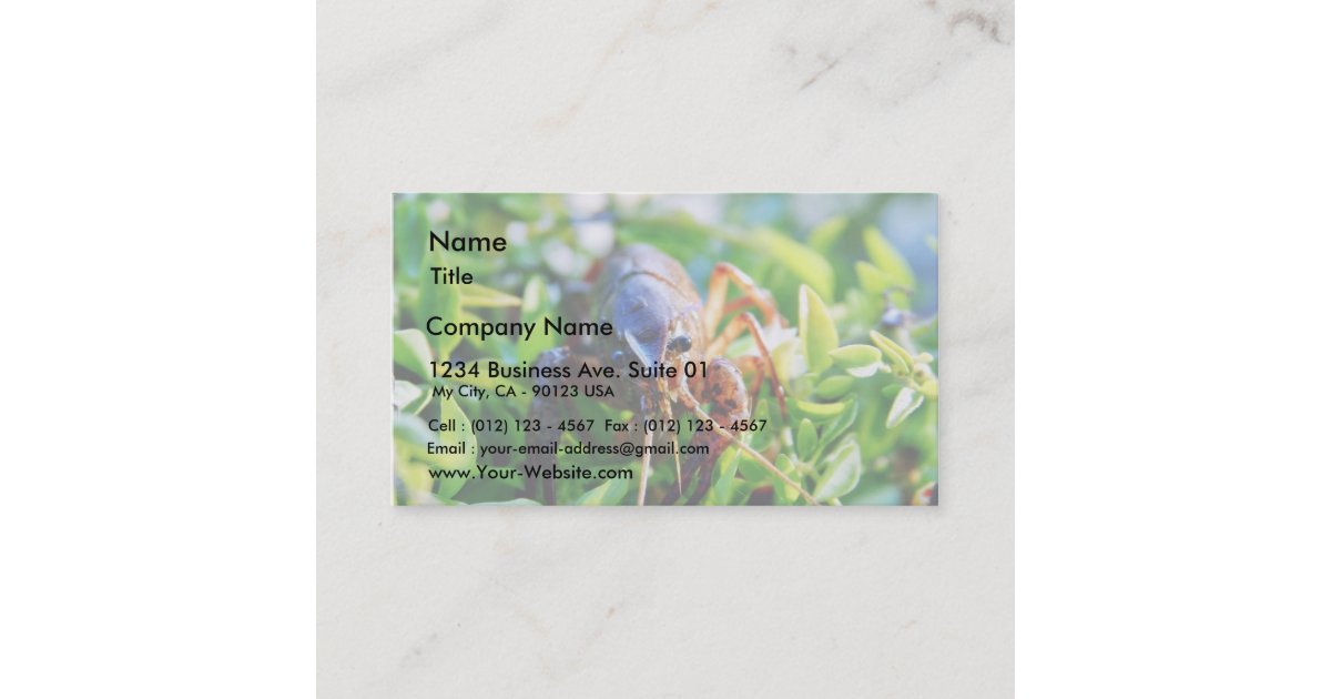 Crawfish Crawdads Crayfish Business Card | Zazzle