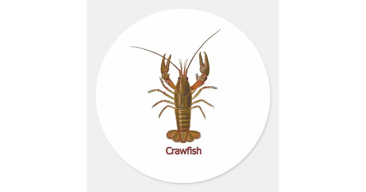 Crawfish Logo Classic Round Sticker | Zazzle