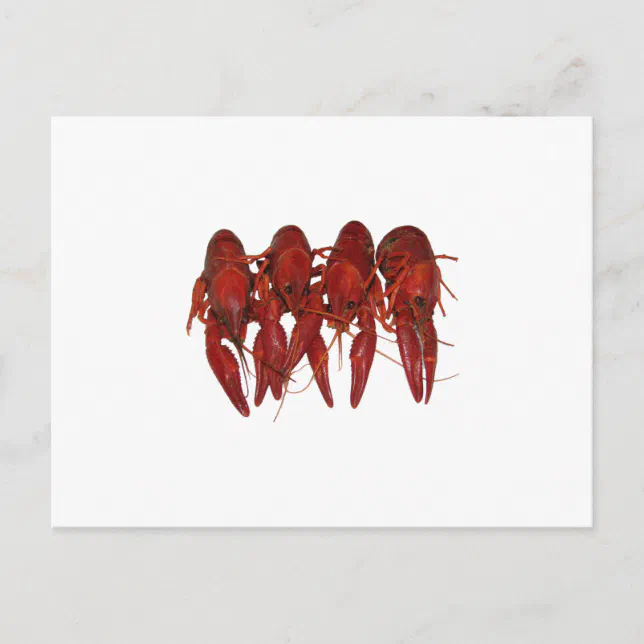 Crawfish Logo (untitled) Postcard | Zazzle