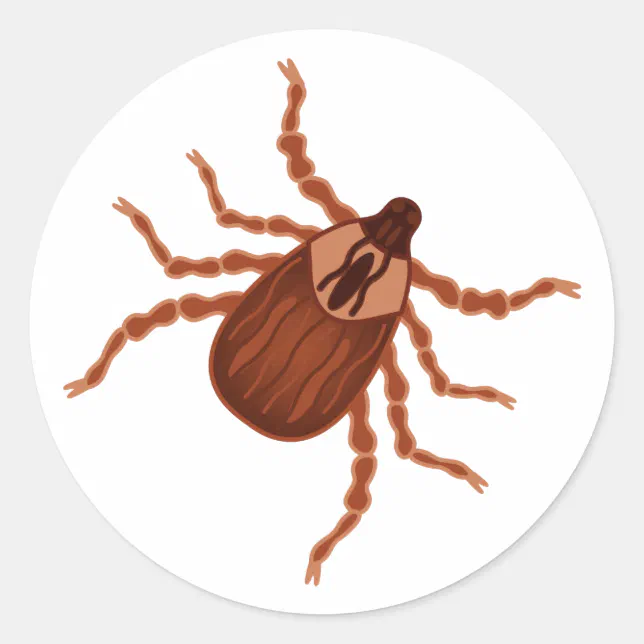 Crawly Realistic Tick Illustration Classic Round Sticker | Zazzle