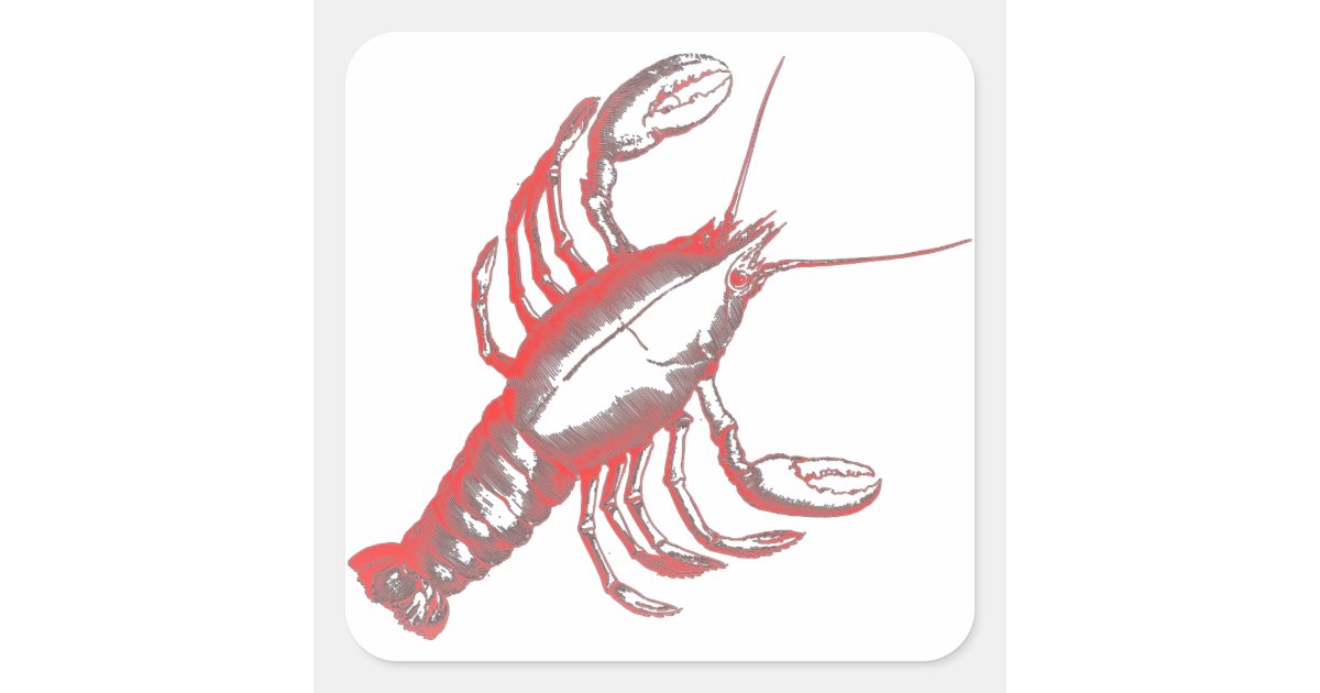 Crayfish Square Sticker | Zazzle
