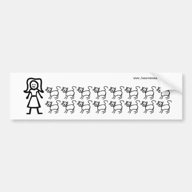 Crazy Cat Lady - Bumper Sticker | Zazzle