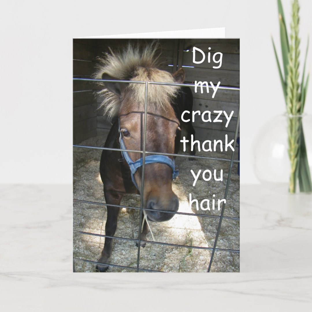 CRAZY HORSE THANK YOU | Zazzle