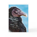 Crazy Old Buzzard Birthday Card | Zazzle