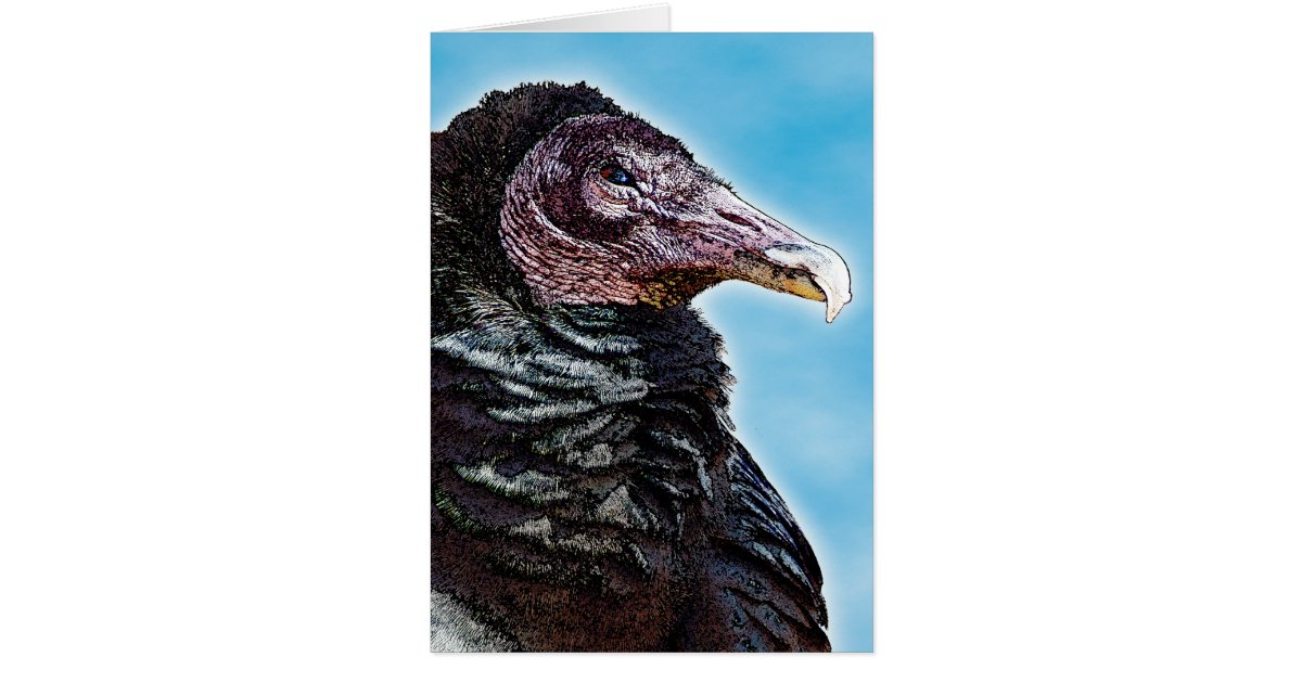 Crazy Old Buzzard Birthday Card | Zazzle.com